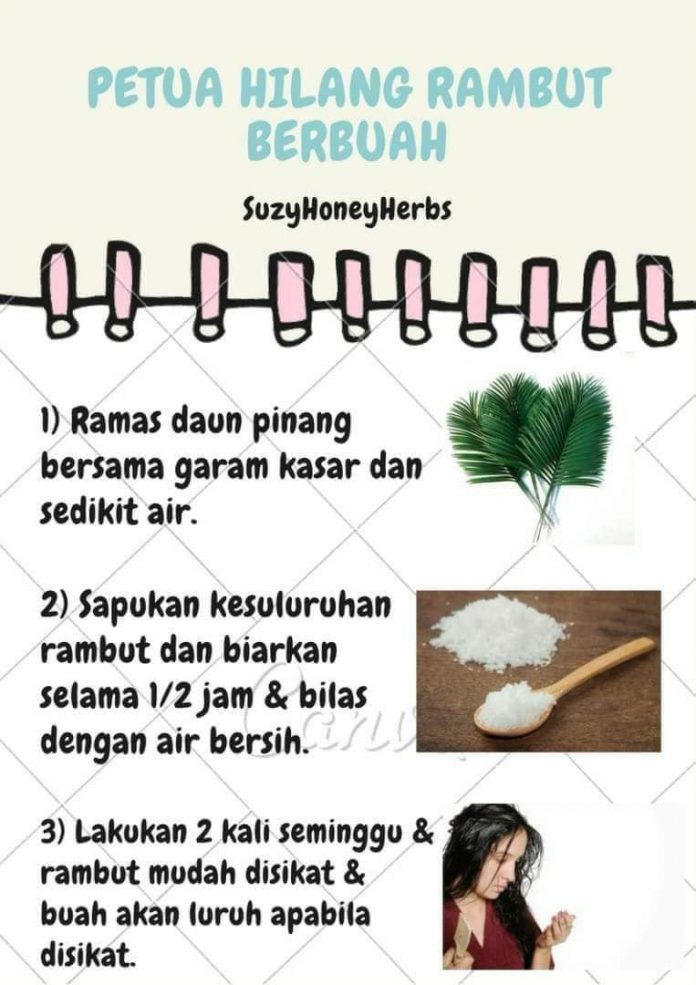 Rawat Rambut Berbuah Hanya Dengan Tiga Bahan, Daun Pinang, Garam & Air ...
