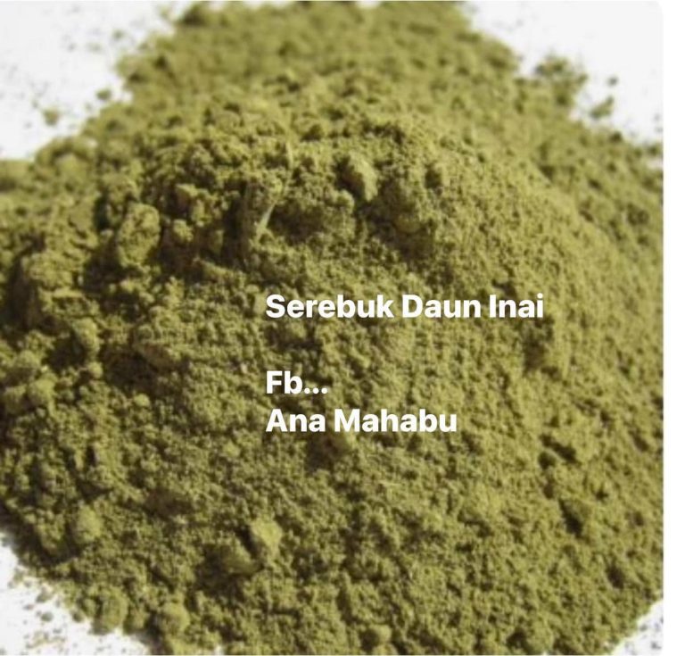 Daun Inai Bukan Sekadar Penghias Kuku Tapi Boleh Bantu Rawat Macam ...