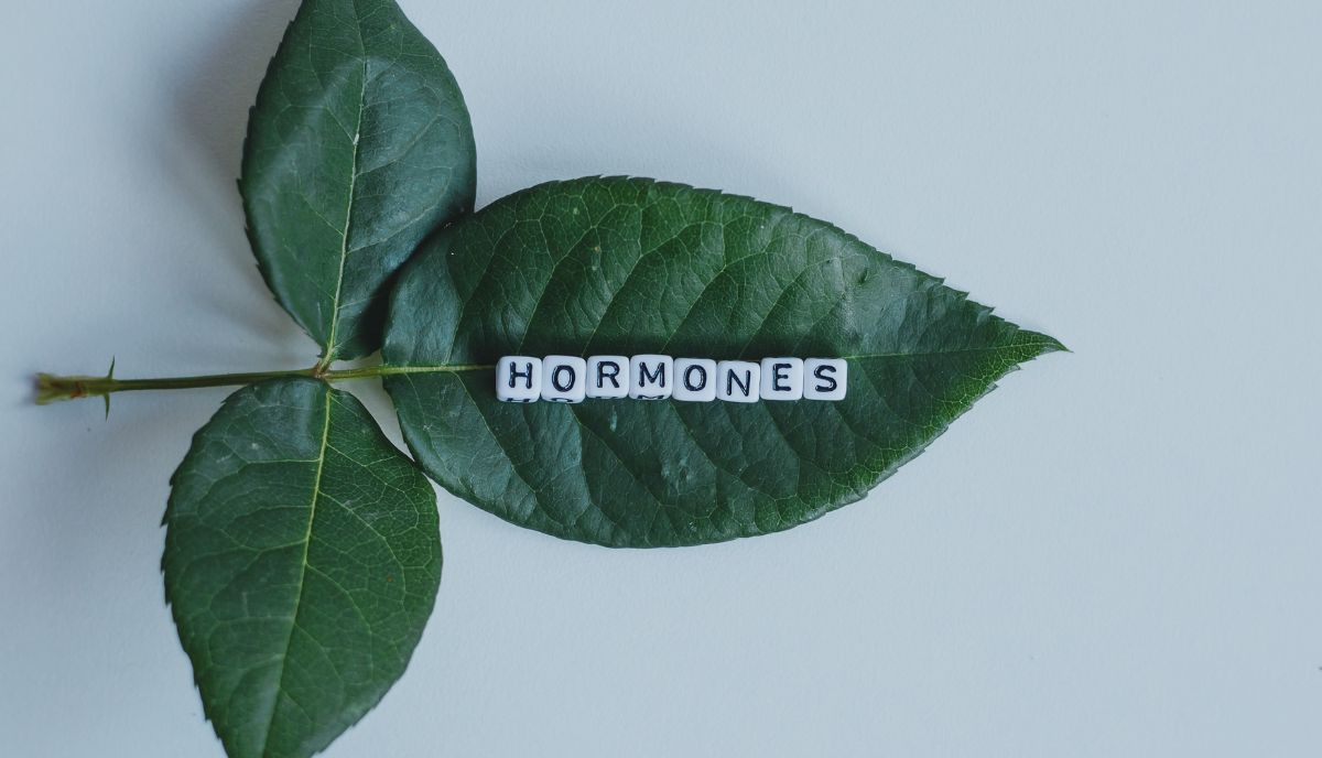 'Bila Nak Tidur, Asyik Tergaru-Garu Badan Ini...Rimasnya!', Digigit ...